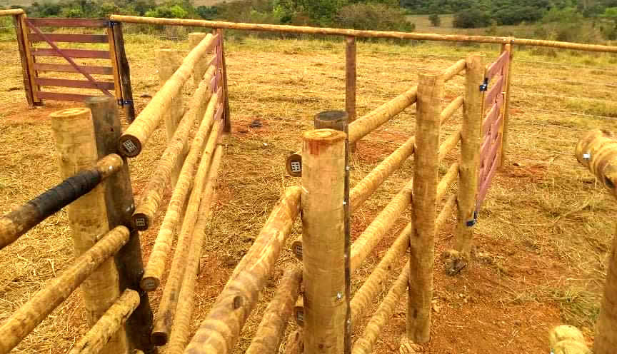 Agropecuaria San Thiago | Bambuí-MG